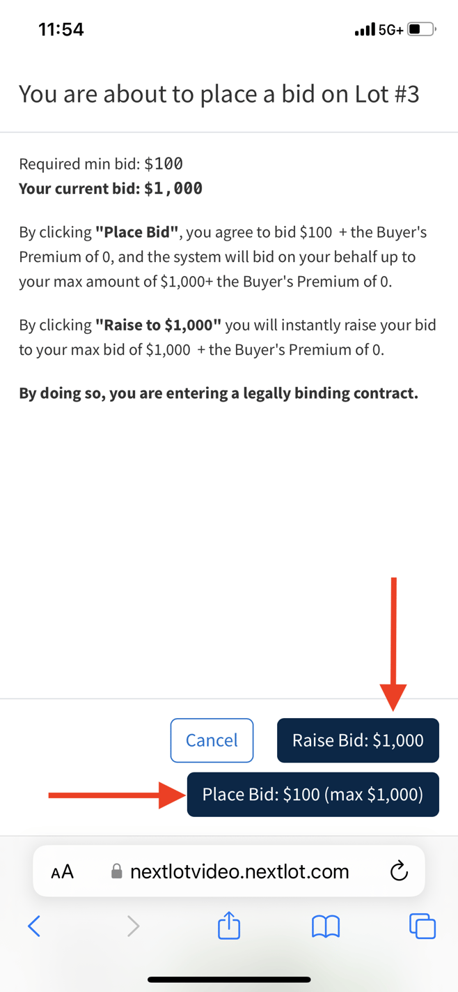 How to Bid in a Timed Online Auction (Mobile)