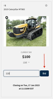 How To Bid In a Timed Online Auction (Computer)