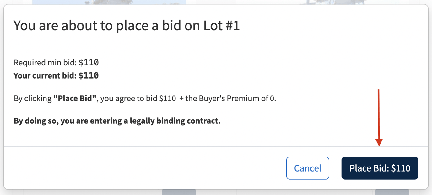 How To Bid In a Timed Online Auction (Computer)