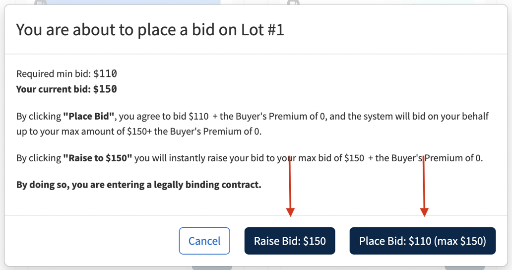How To Bid In a Timed Online Auction (Computer)