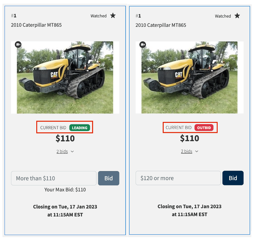 How To Bid In a Timed Online Auction (Computer)